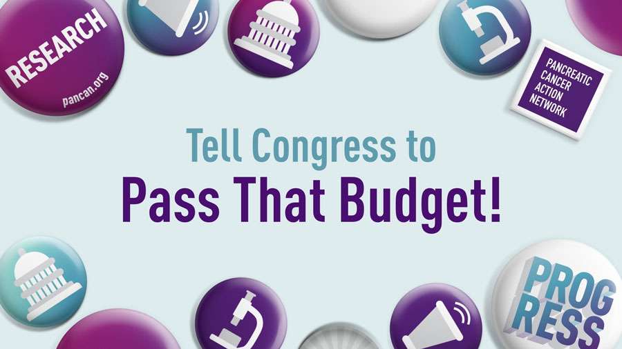 Advocacy Action Alert Thank You - Pancreatic Cancer Action Network